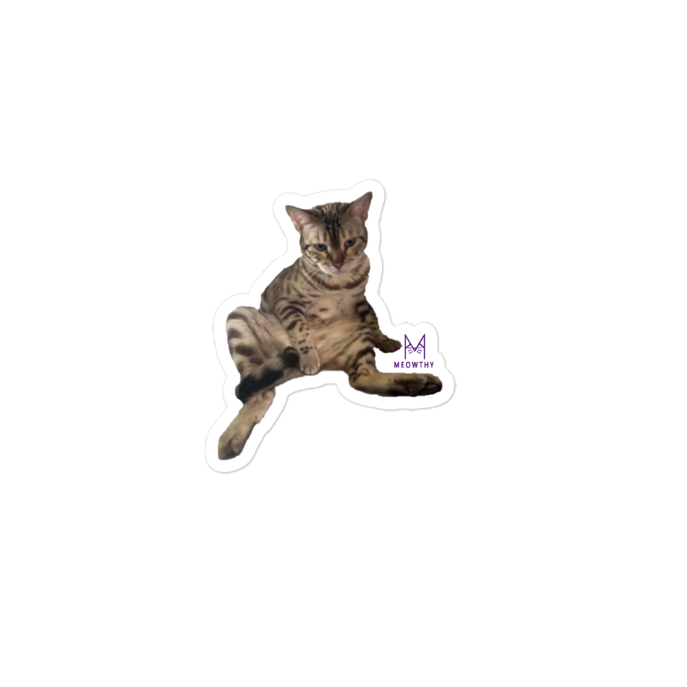 meowthy / Streamlabs